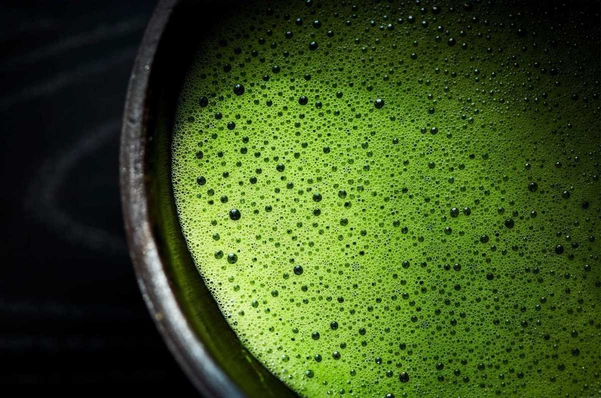 Is Matcha a Good Source of Polyphenols? | Enjoy Green Tea